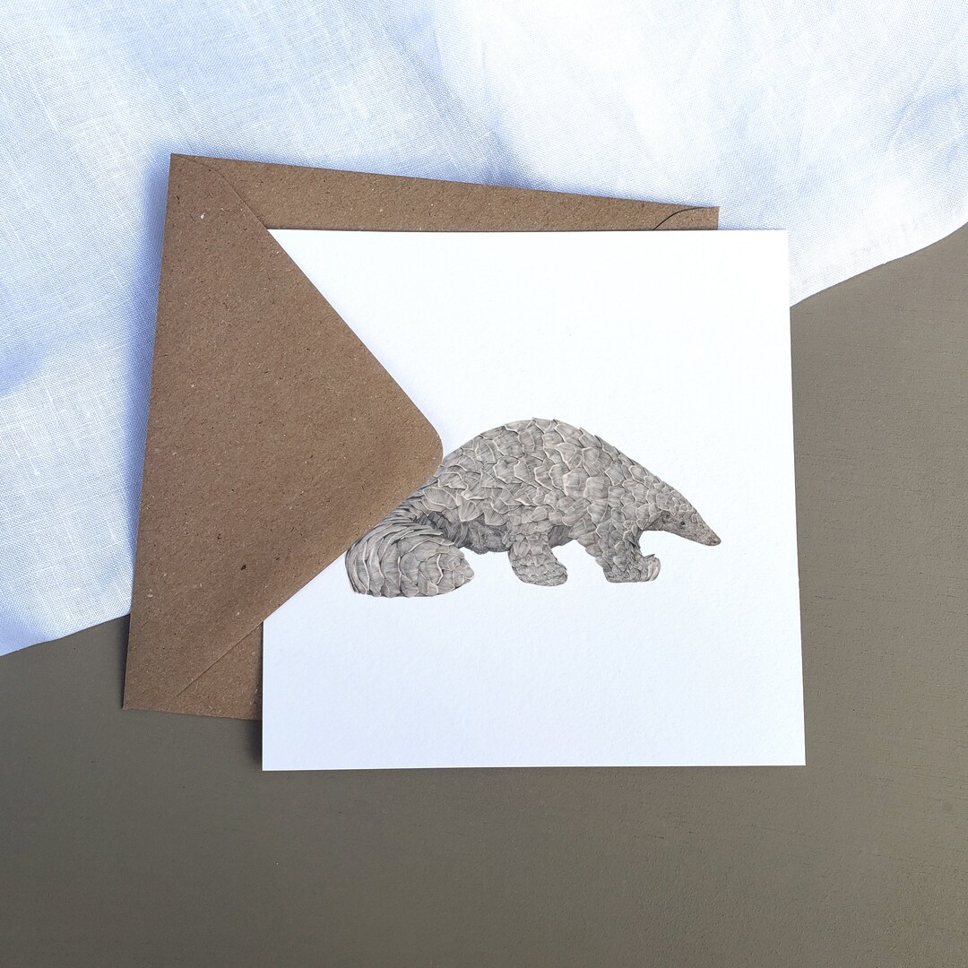 Pangolin Illustration Birthday Card Square, Nature Birthday Card, Fine ...