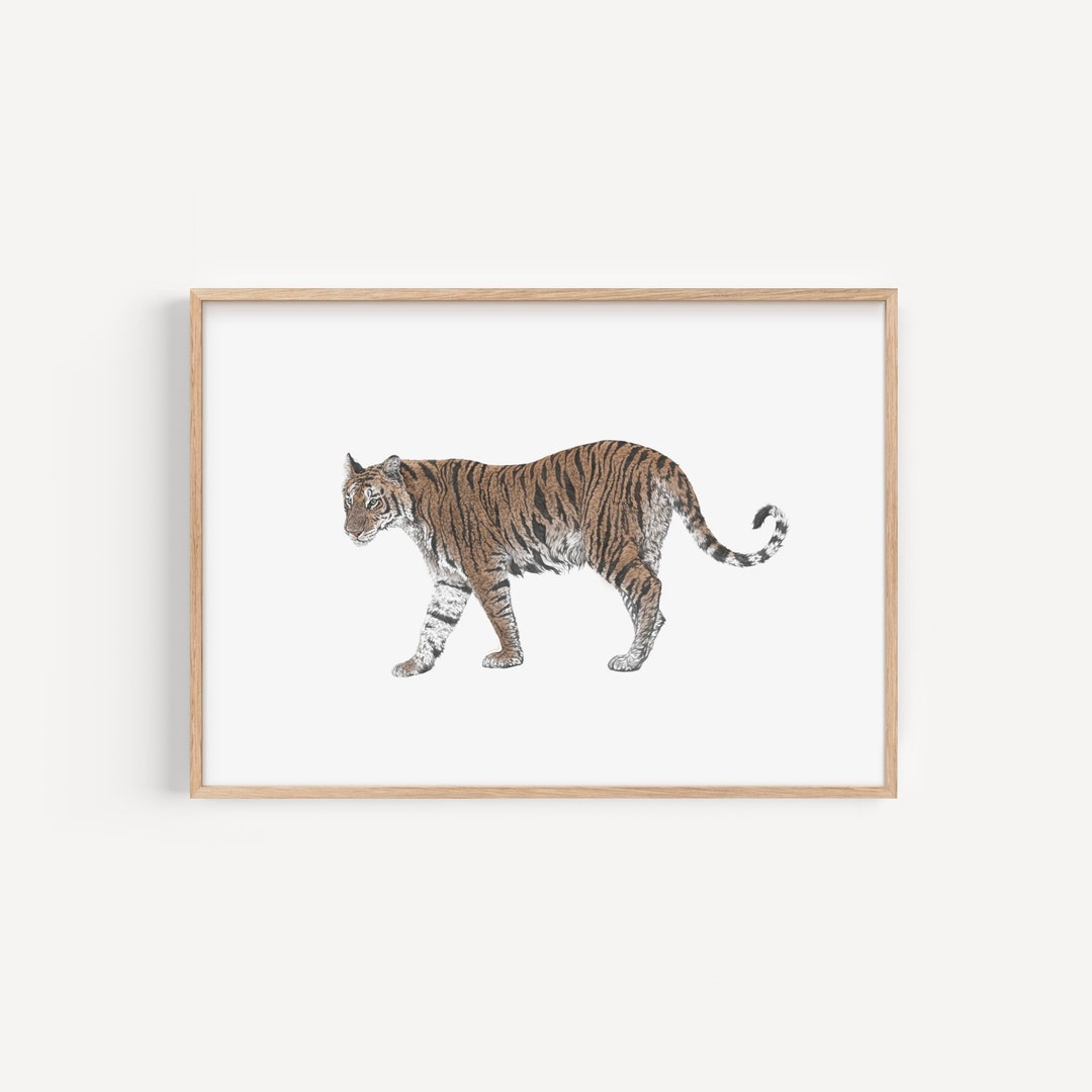Bengal Tiger Art Print - Big Cat Lover Gift for Dad, Minimal Hand Drawn ...