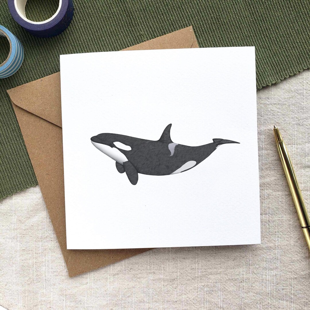 Killer Whale Square Blank Card – Orca Wildlife Birthday Card, Ocean ...