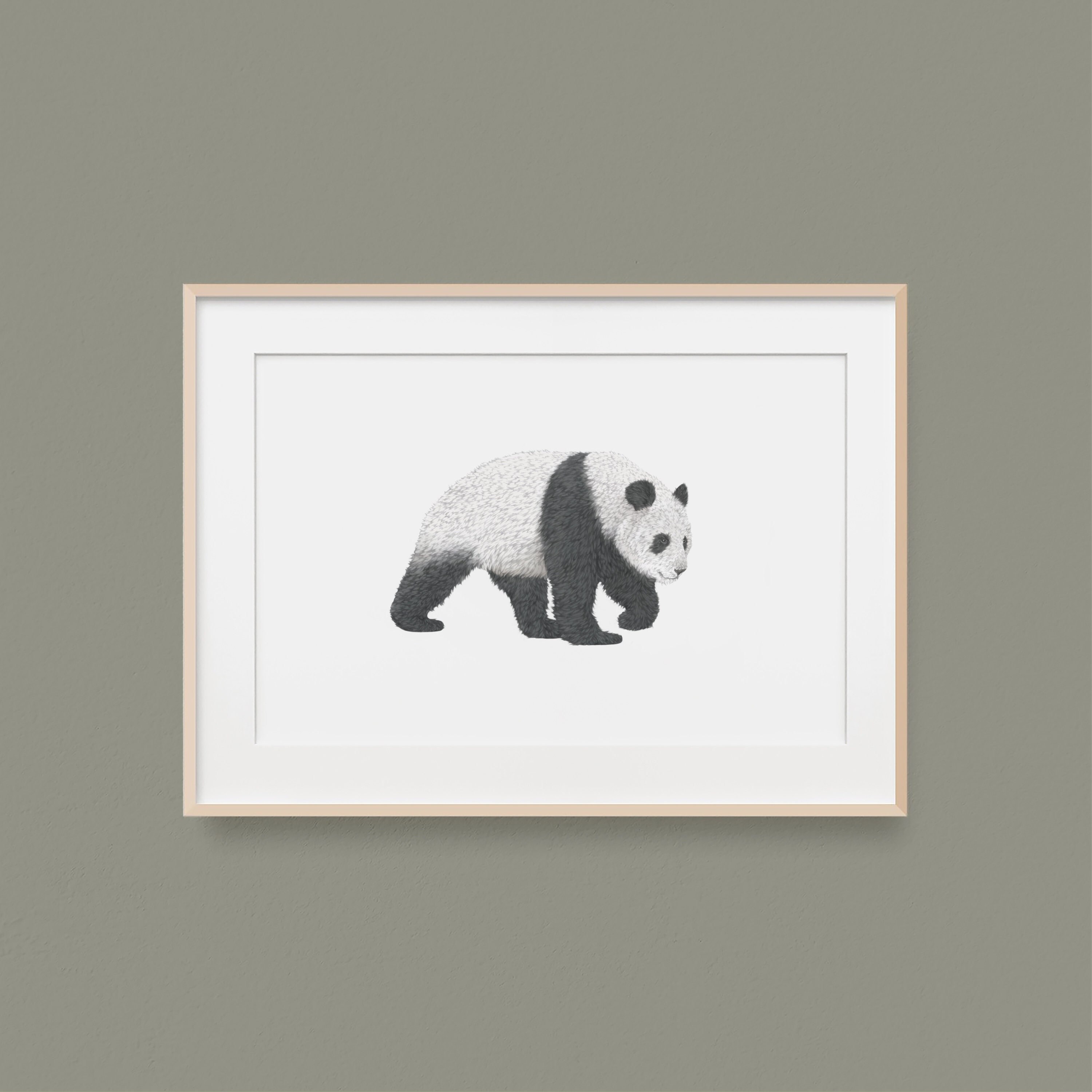 Panda Bear Pictures To Print