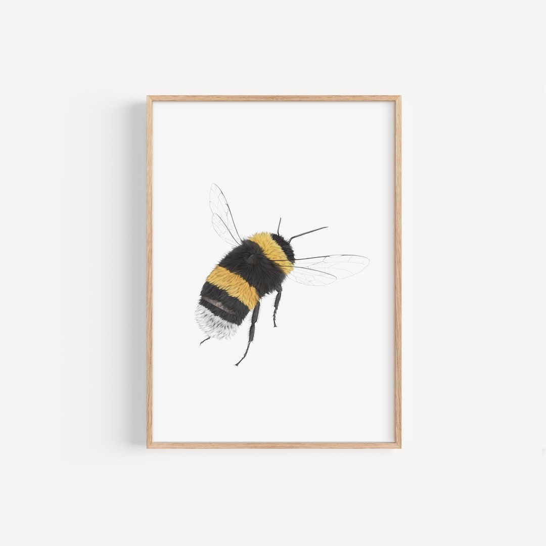 Bumble Bee Illustration Print, Bee Pencil Drawing Print, British ...