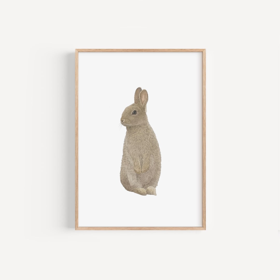 Bunny Rabbit Illustration Print - British Wildlife Art, Wild Rabbit ...