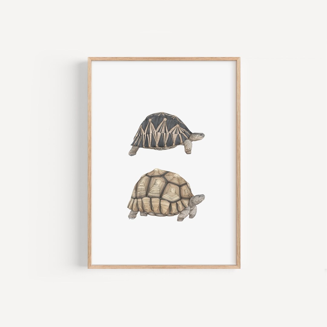 Tortoise Art Print - Wildlife Poster Personalised Print, Two Tortoise ...