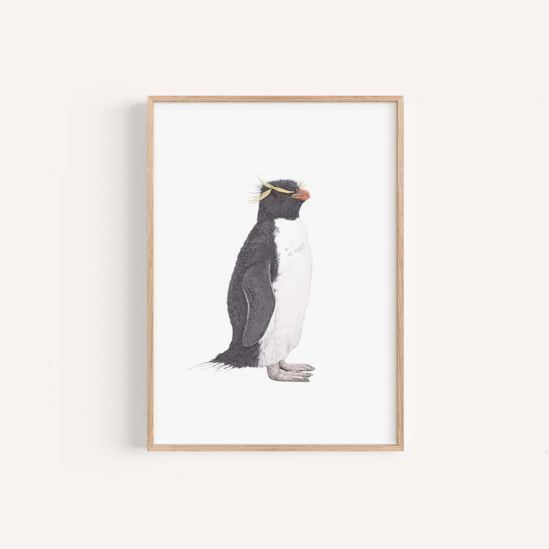 Rockhopper Penguin Art Print, Wildlife Pencil Drawing, Penguin Lover ...
