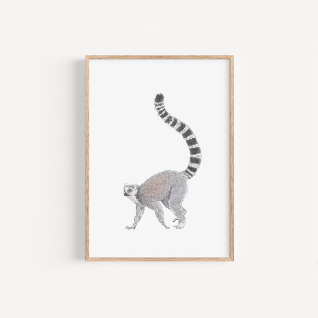 Ring Tailed Lemur Art Print - Jungle Nursery Art, Playroom Decor ...