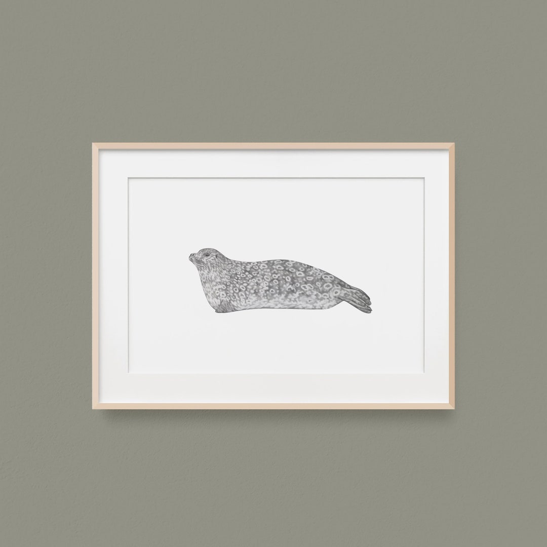 Ringed Seal Pencil Illustration Art Print Personalised - Etsy