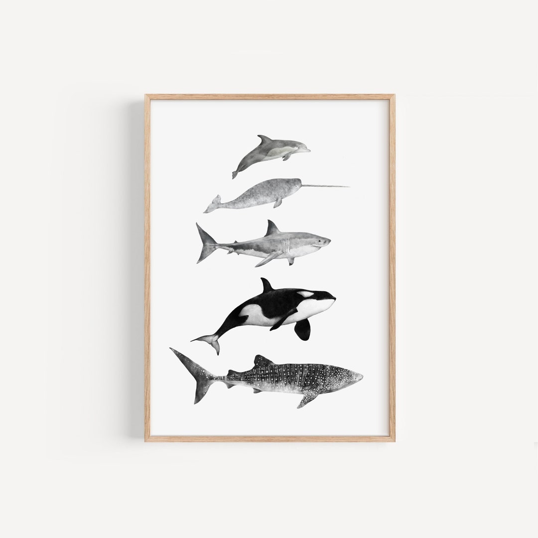 Ocean Wildlife Print, Realistic Sea Creatures Art, Personalised Shark ...