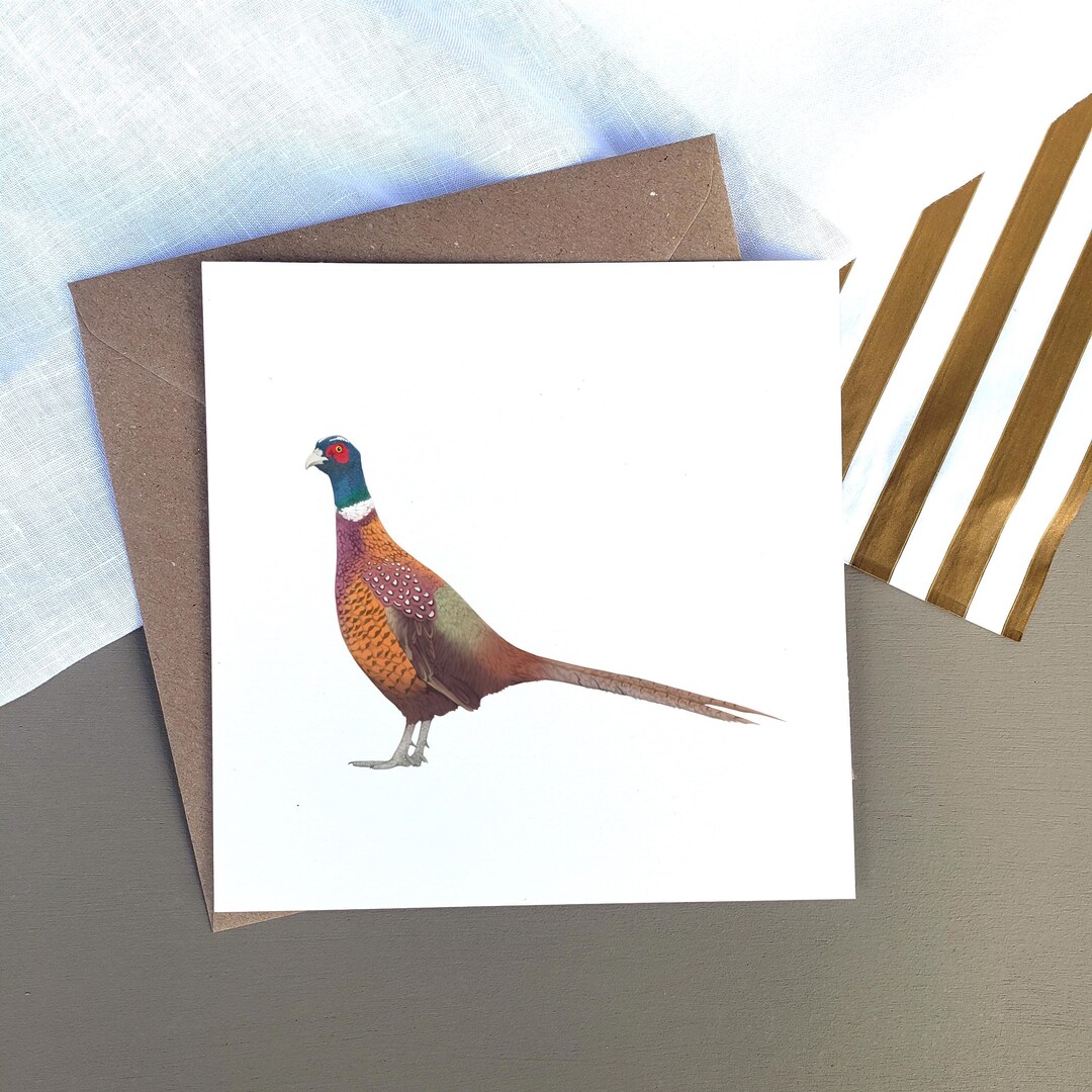 Pheasant Christmas Card, Bird Lover Gift British Wildlife Nature Card ...