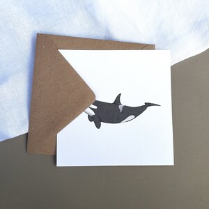 Orca Illustration Birthday Card Square, Killer Whale Cute Nature ...