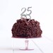 25 Cake Topper 25th Cake Topper 25 Birthday Party Cake - Etsy