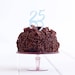 25 Cake Topper 25th Cake Topper 25 Birthday Party Cake - Etsy