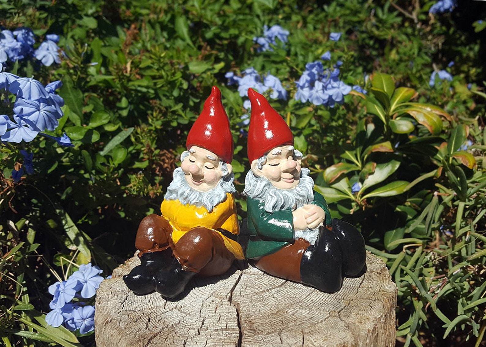 Set of Two Miniature Gnomes Gnome Gardening Figurings Fairy | Etsy