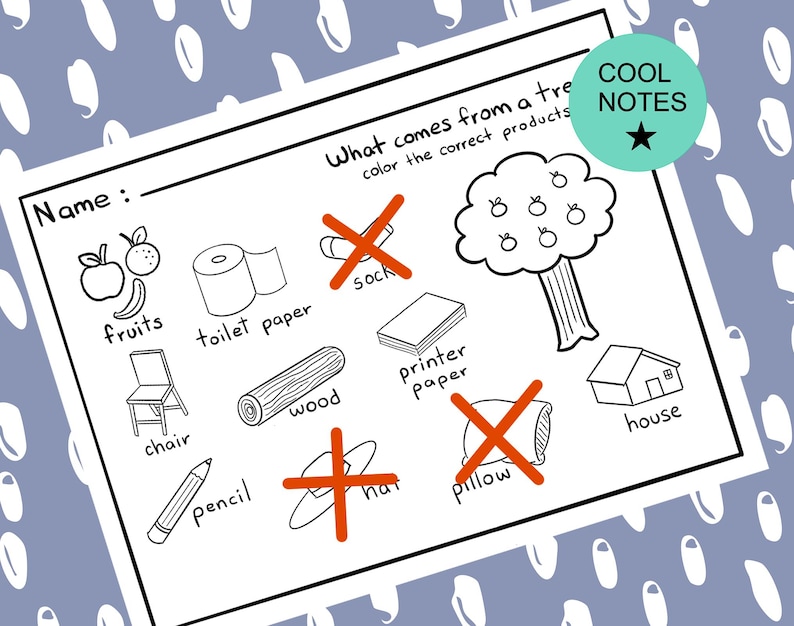 Natural Resources Worksheet, Where Things Come From Activity, Science ...