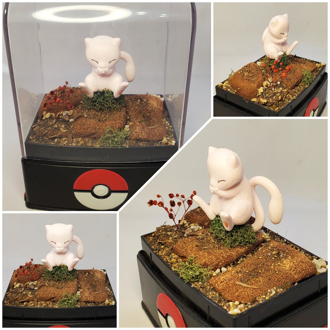 Mew Poke'rarium Pokemon Pokeball Terrarium - Etsy