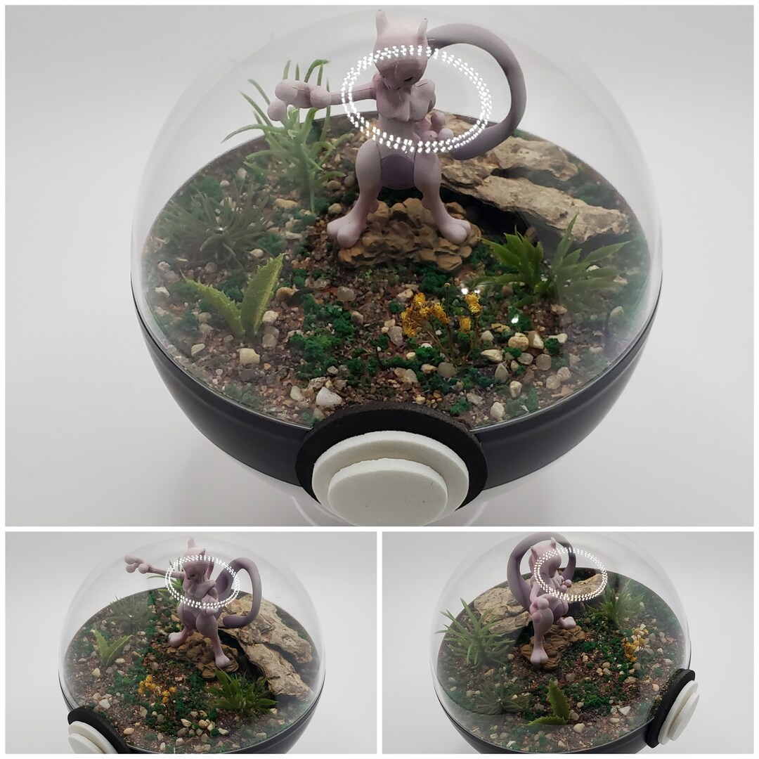 Mewtwo Poke'rarium 4in, Pokemon Pokeball Terrarium, With Stand - Etsy