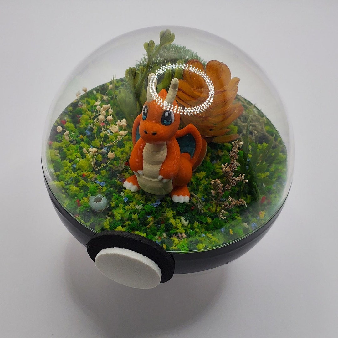 Dragonite Poke'rarium 3in, Terrarium, With Stand - Etsy