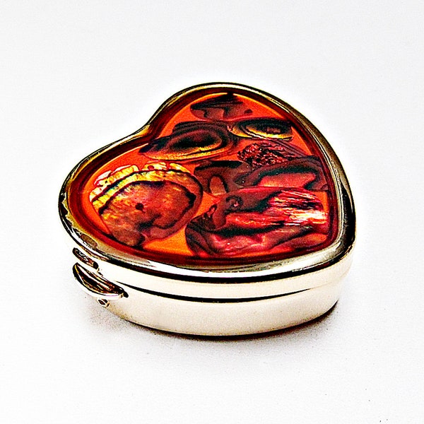 Shell Pill Box - Etsy