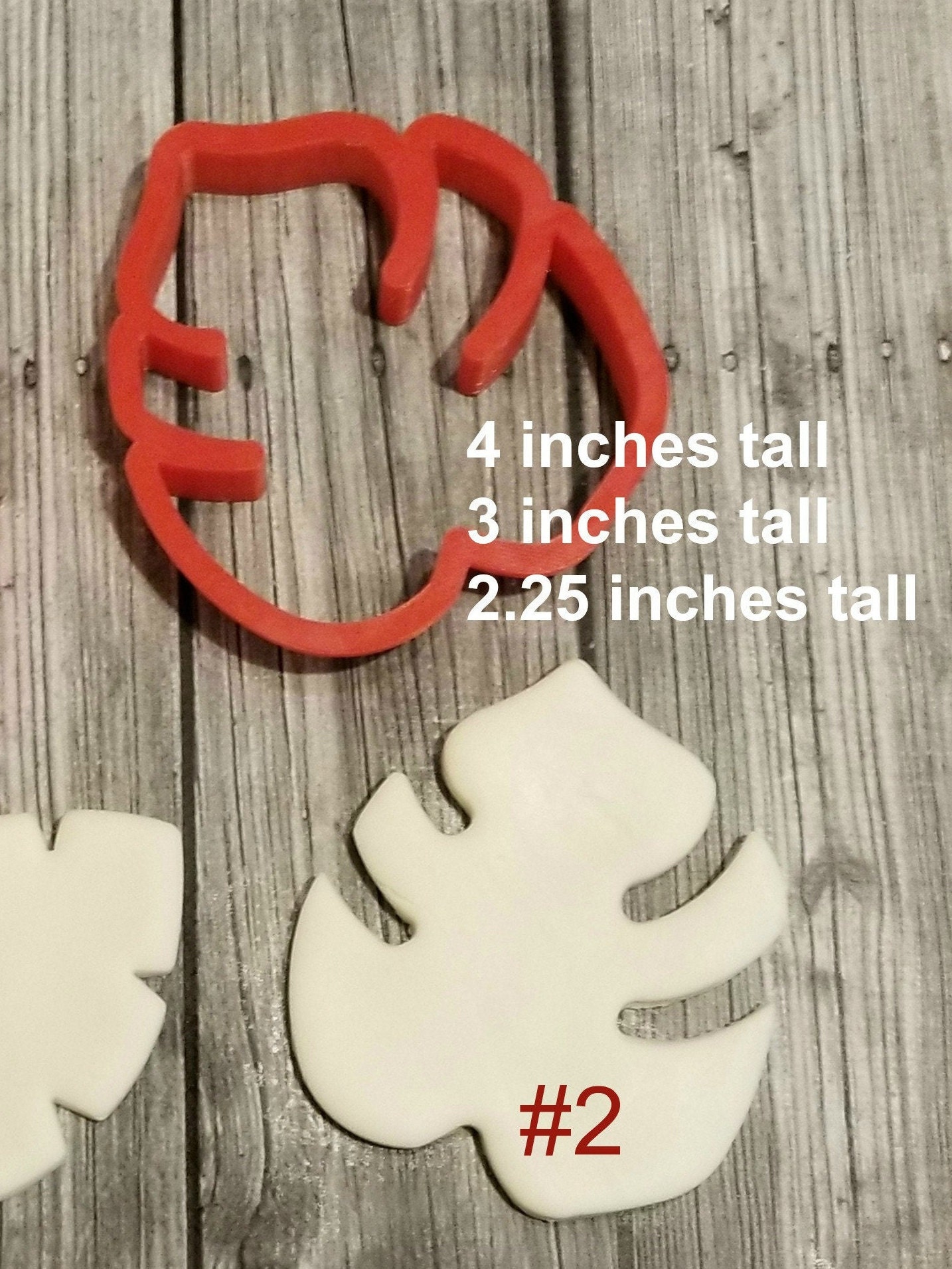 Tropical Leaf Cookie Cutter Jungle Cookie Cutters - Etsy