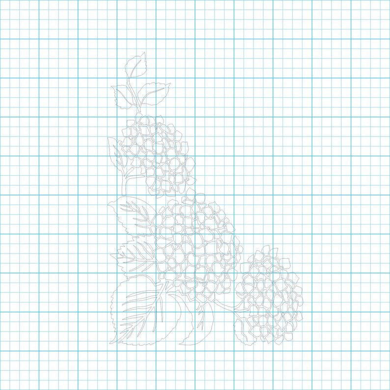 Hydrangea Corner Flower Heads Vector File for Cutting, Vinyl, Laser ...