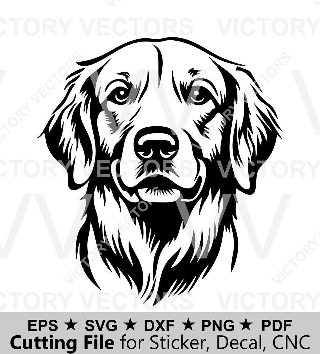 Golden Retriever Face Dog Head Vector Line File for Cutting, Vinyl ...