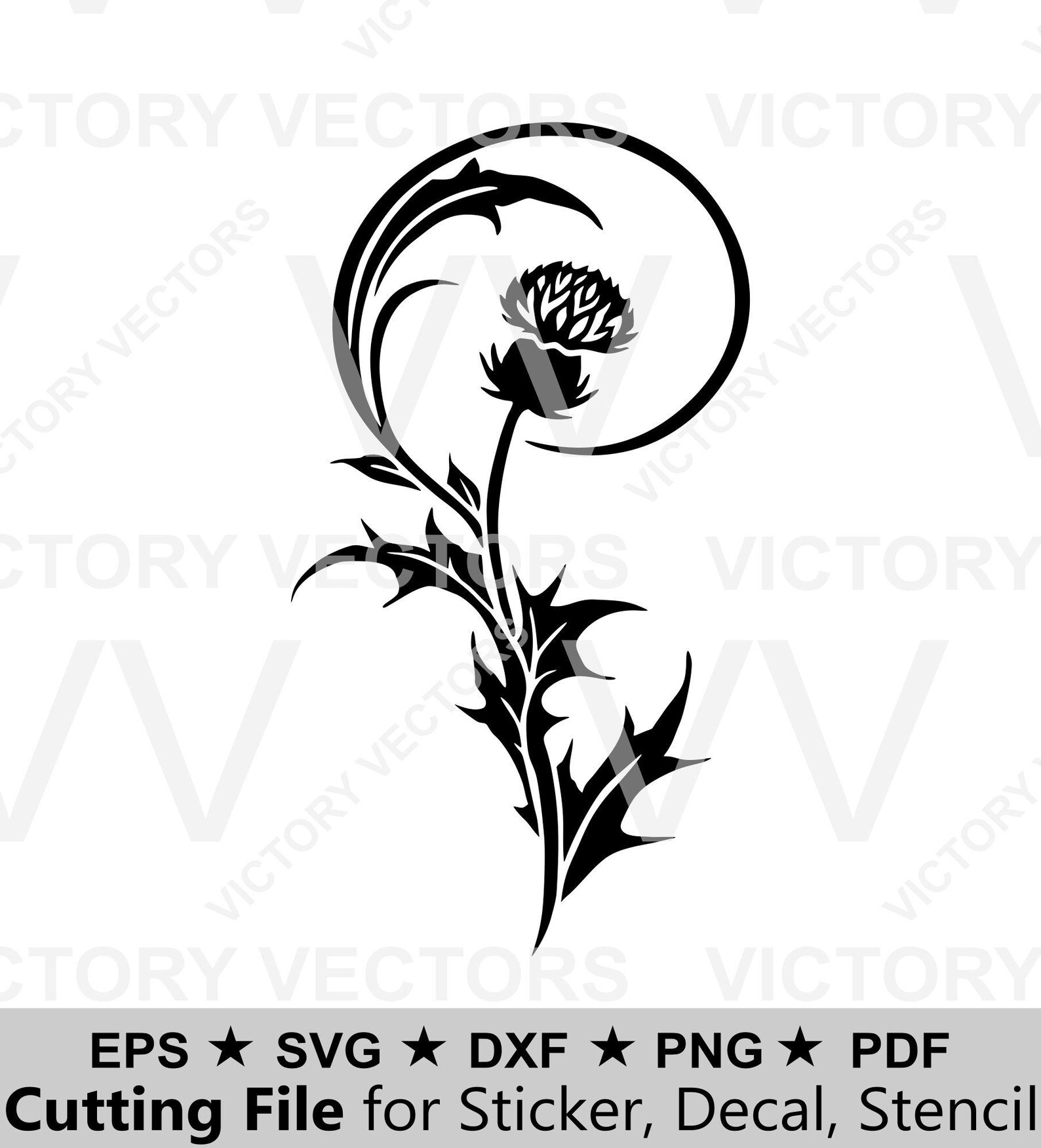 Thistle Seed Head SVG | Botanical Symbol of Strength & Remembrance ...
