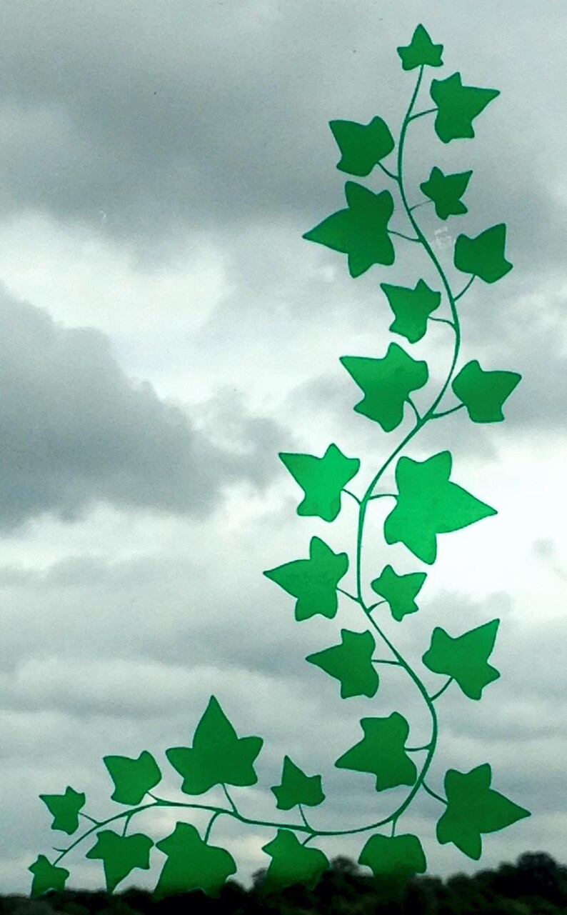 Ivy Corner Border Trailing Vector Line Cutting File Vinyl and Laser ...