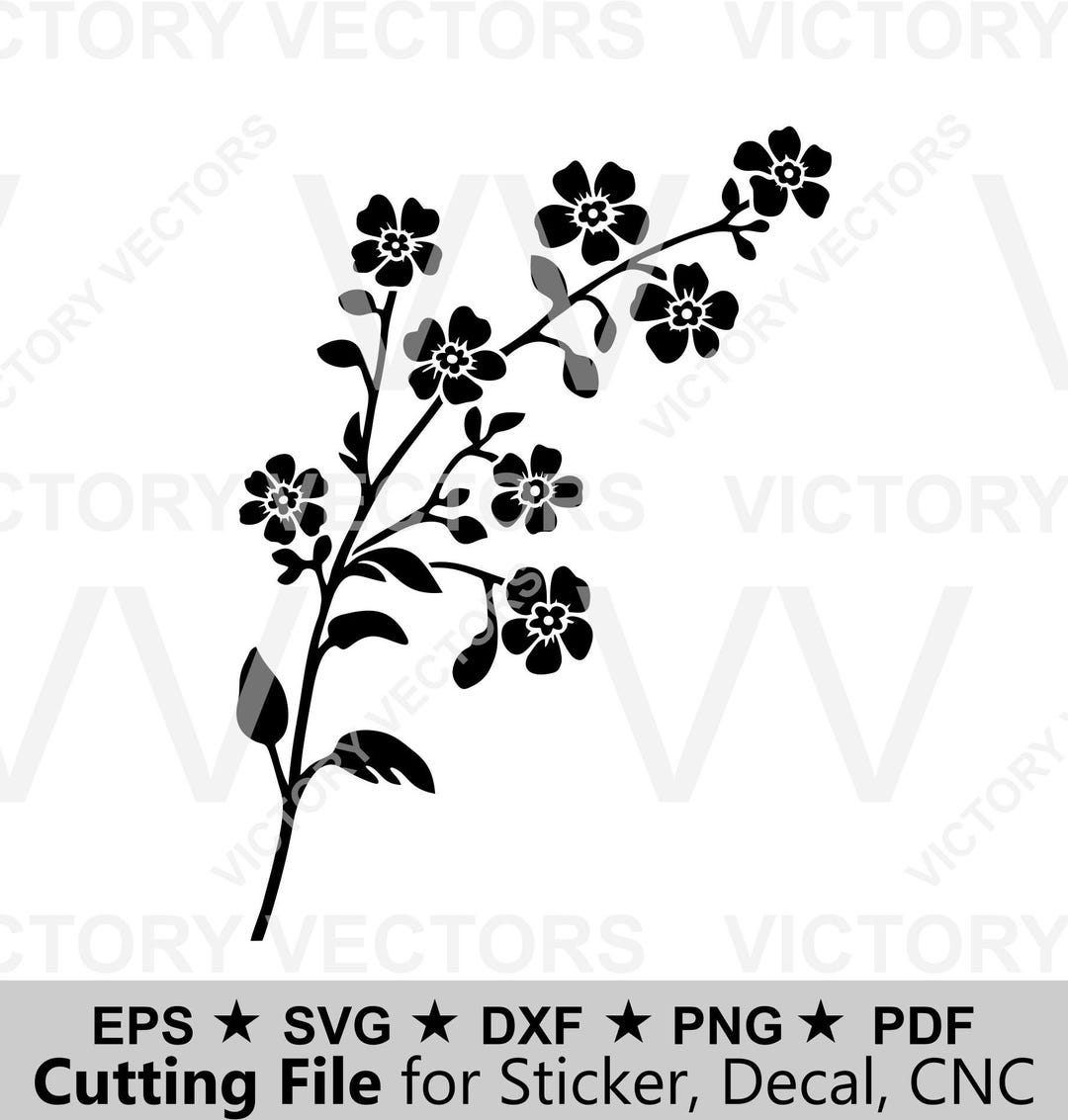 Alaska Forget-me-not State Flower Vector File - Wildflower Floral ...