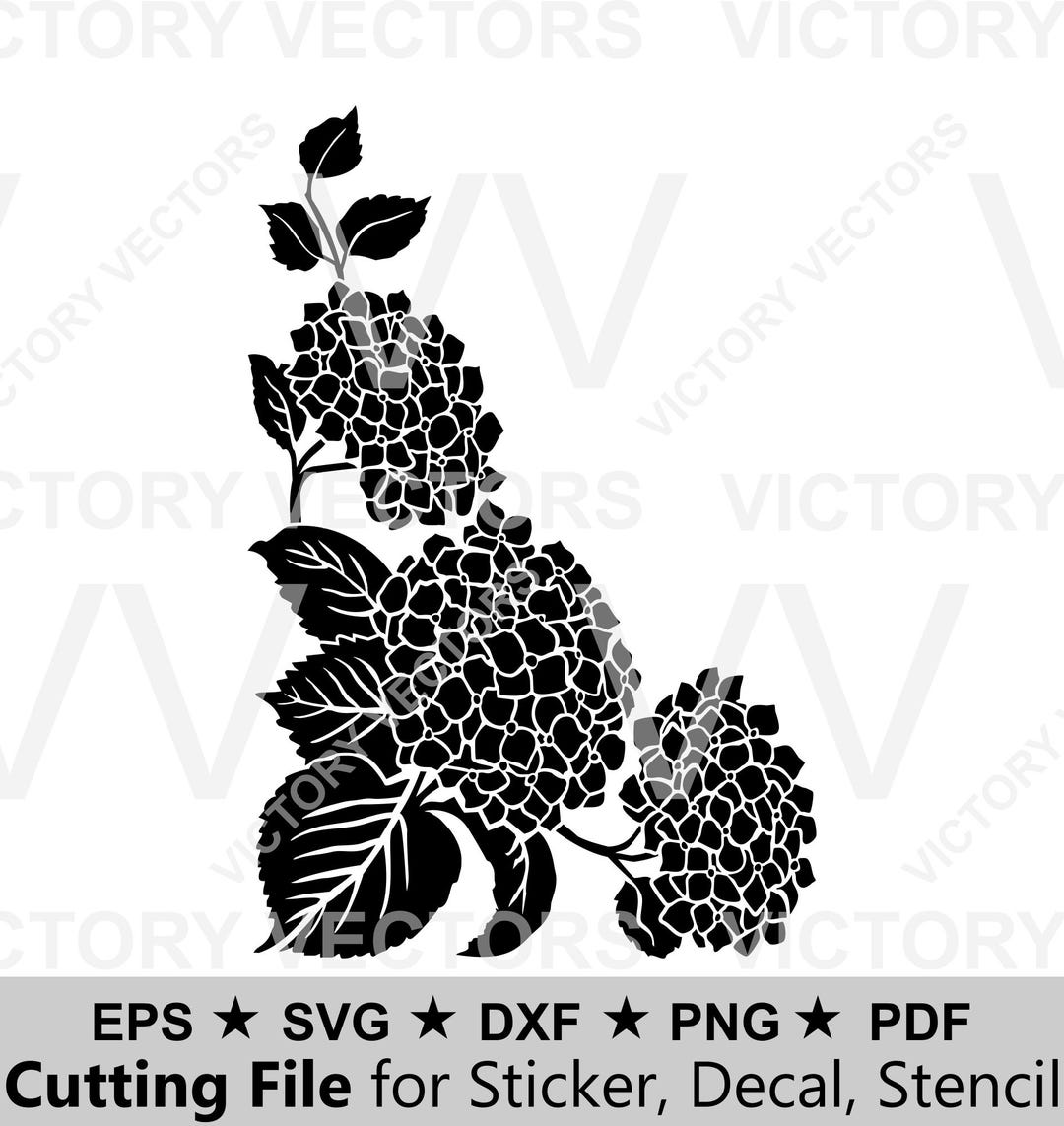 Hydrangea Corner Flower Heads Vector File for Cutting, Vinyl, Laser, SVG Cricut, Silhouette Eps ...