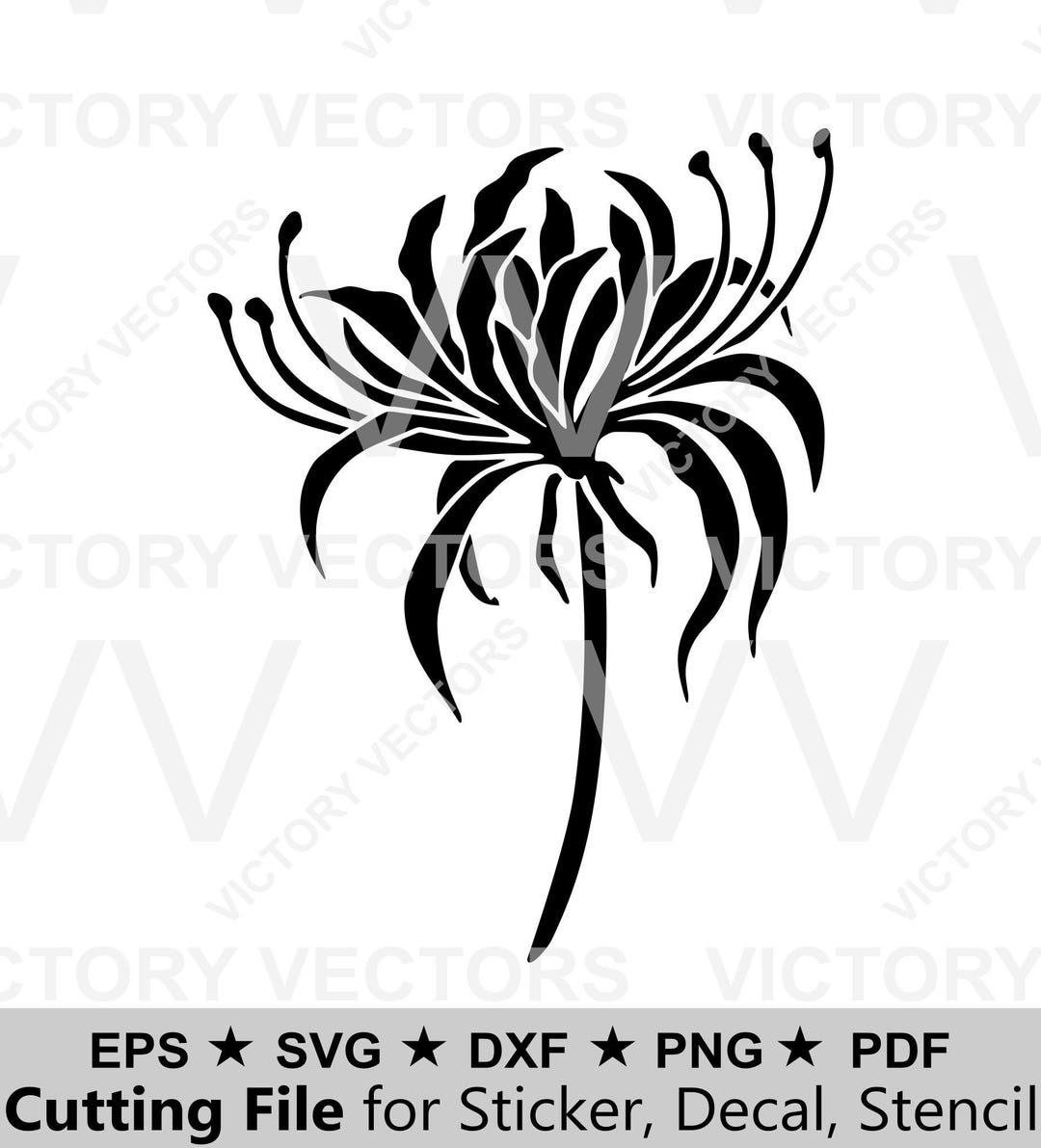 Spider Lily Flower SVG | Red Magic Lily Cut File | Surprise Lilies ...