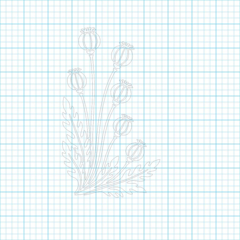 Poppy Seed Head Corner SVG | Wildflower Pod Vector Cut File | for Vinyl ...