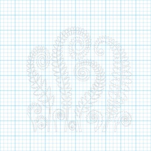 Fiddlehead Ostrich Fern Shoots Botanical Border Vector File for Cut ...