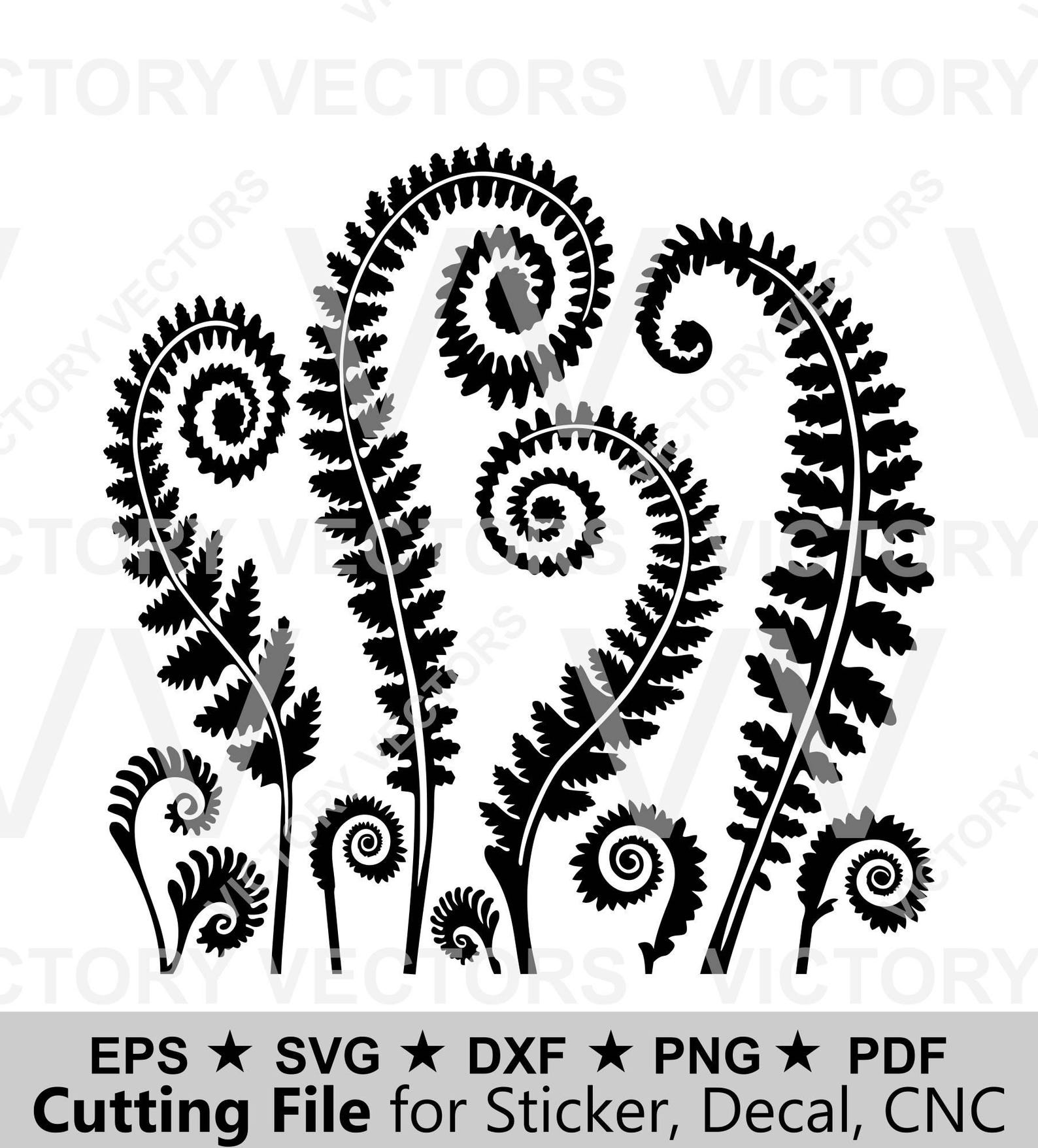 Fiddlehead Ostrich Fern Shoots Botanical Border Vector File for Cut ...