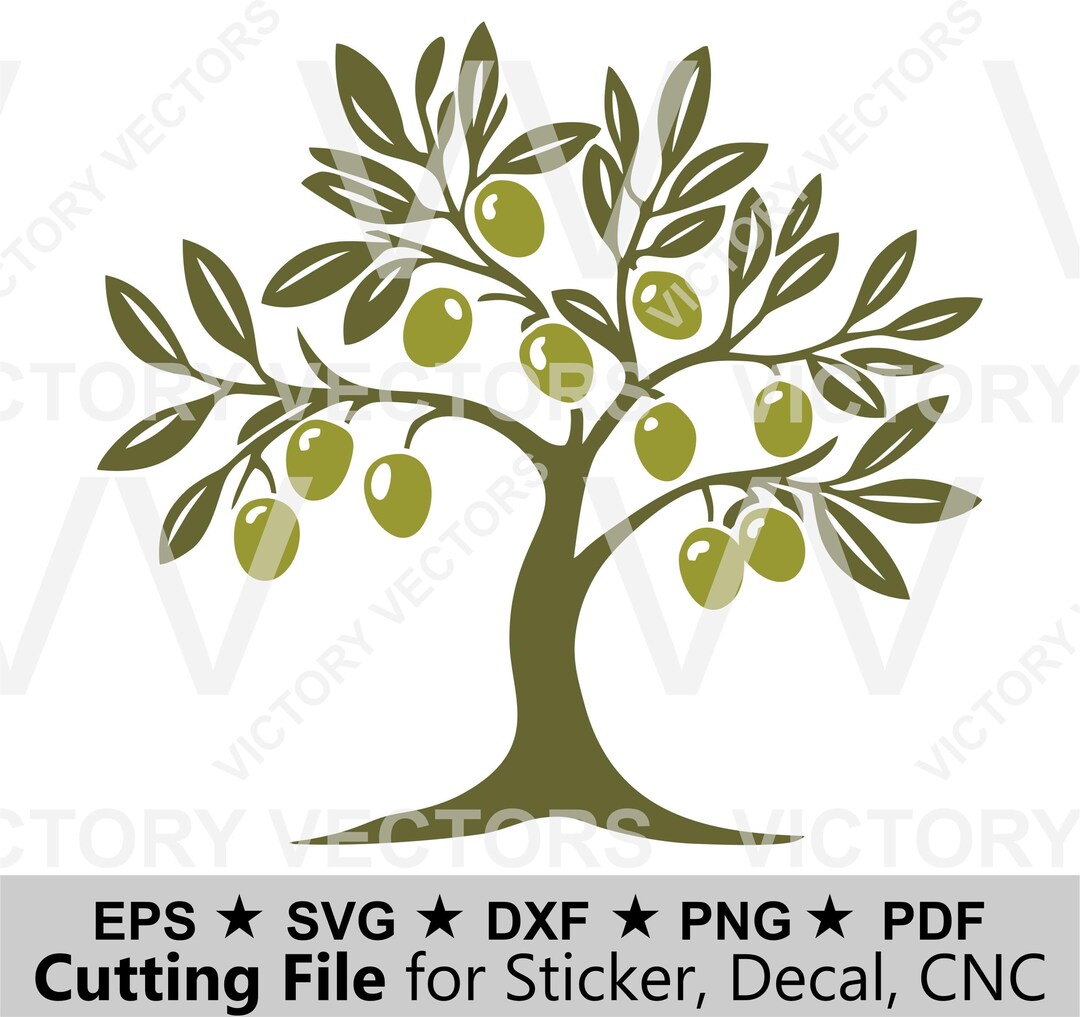 Olive Tree Vector Line Cutting File, Vinyl and Laser, SVG, Cricut ...