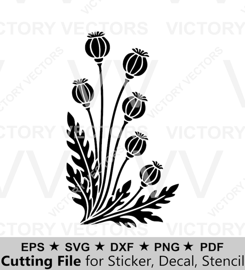 Poppy Seed Head Corner SVG | Wildflower Pod Vector Cut File | for Vinyl ...