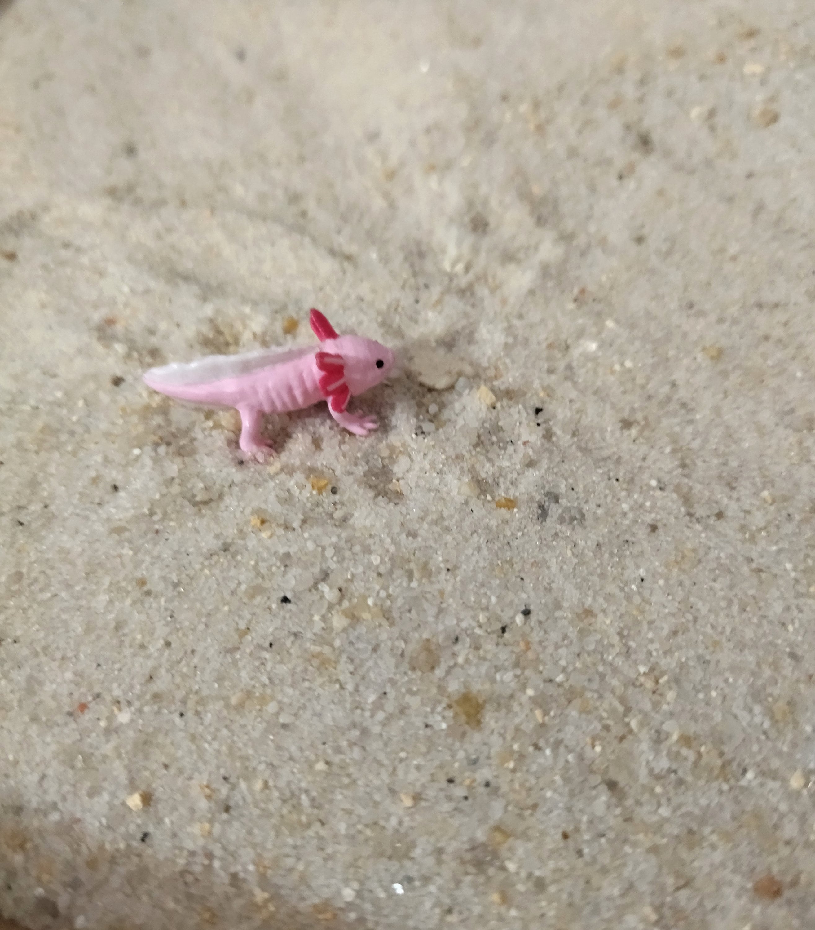 Miniature Axolotl Axolotl Miniatures Fairy Garden - Etsy UK