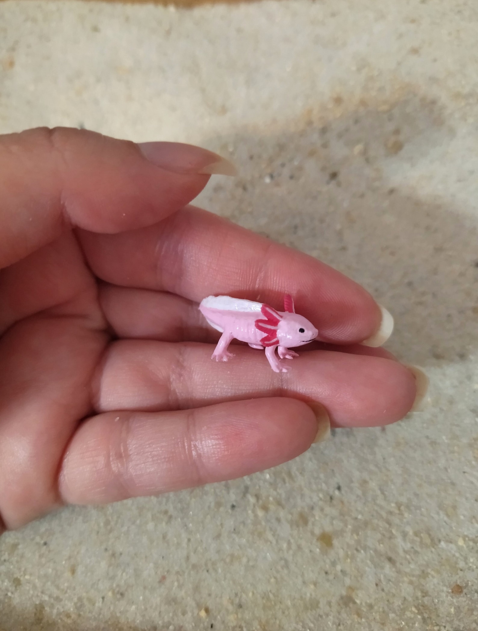 Miniature Axolotl Axolotl Miniatures Fairy Garden - Etsy Australia