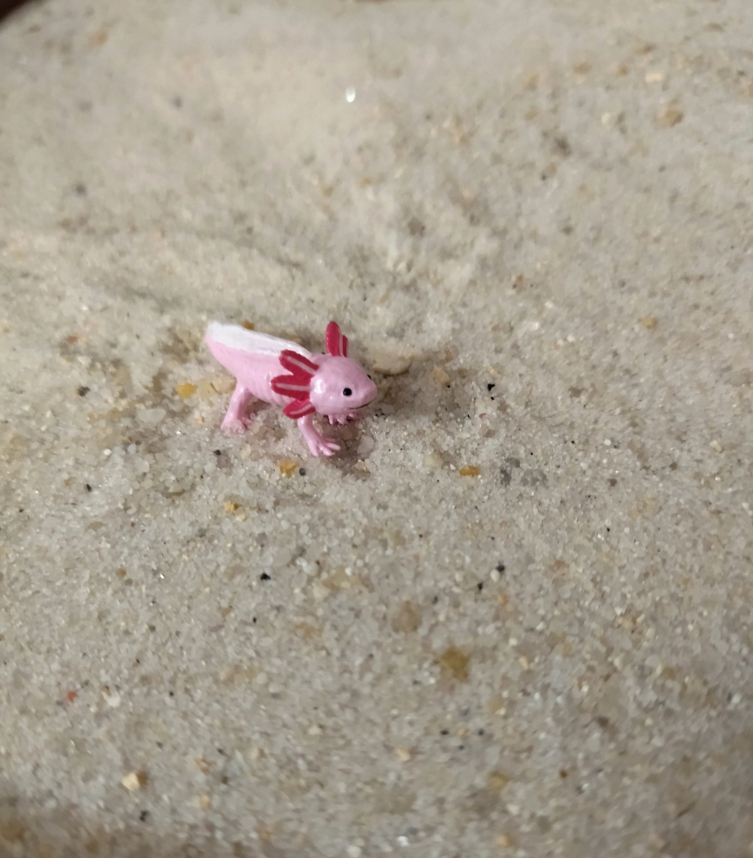 Miniature Axolotl Axolotl Miniatures Fairy Garden - Etsy Australia