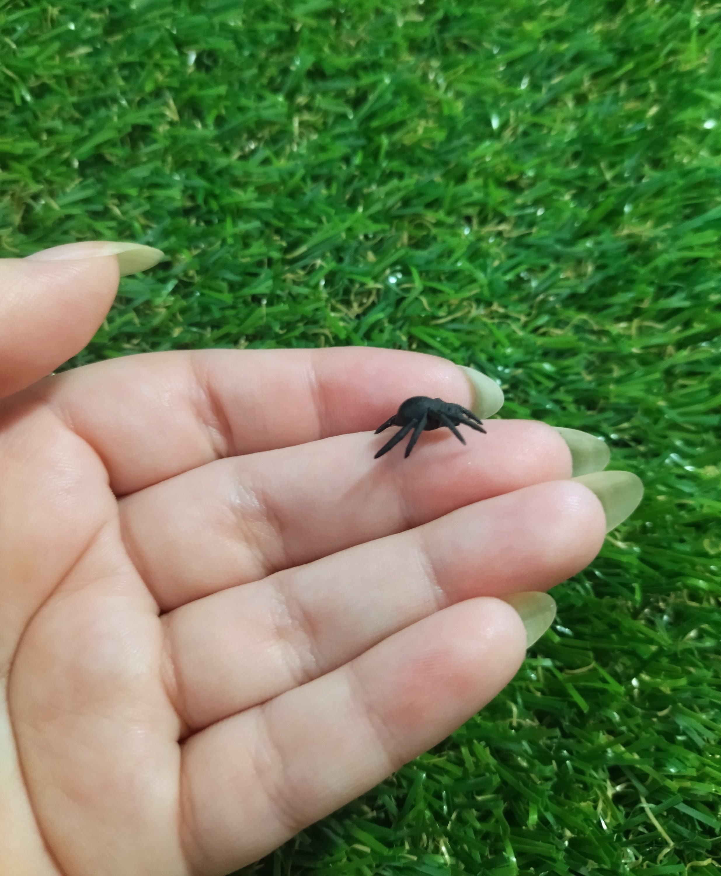 Miniature Spider - Spiders - Miniature - Fairy Garden - Fairy Garden ...