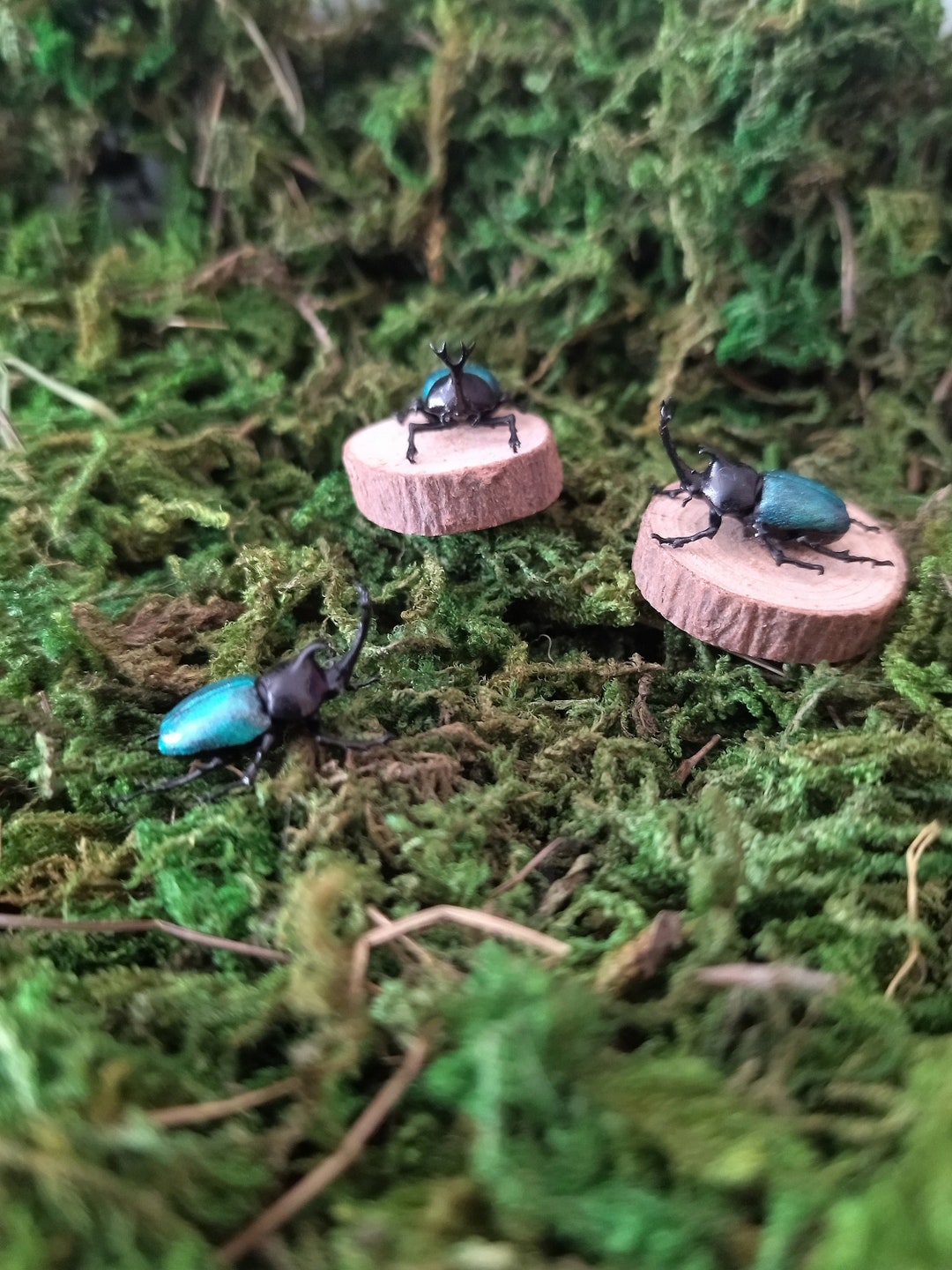 Miniature Beetle - Beetle - Miniature Bug - Miniatures - Fairy Garden ...