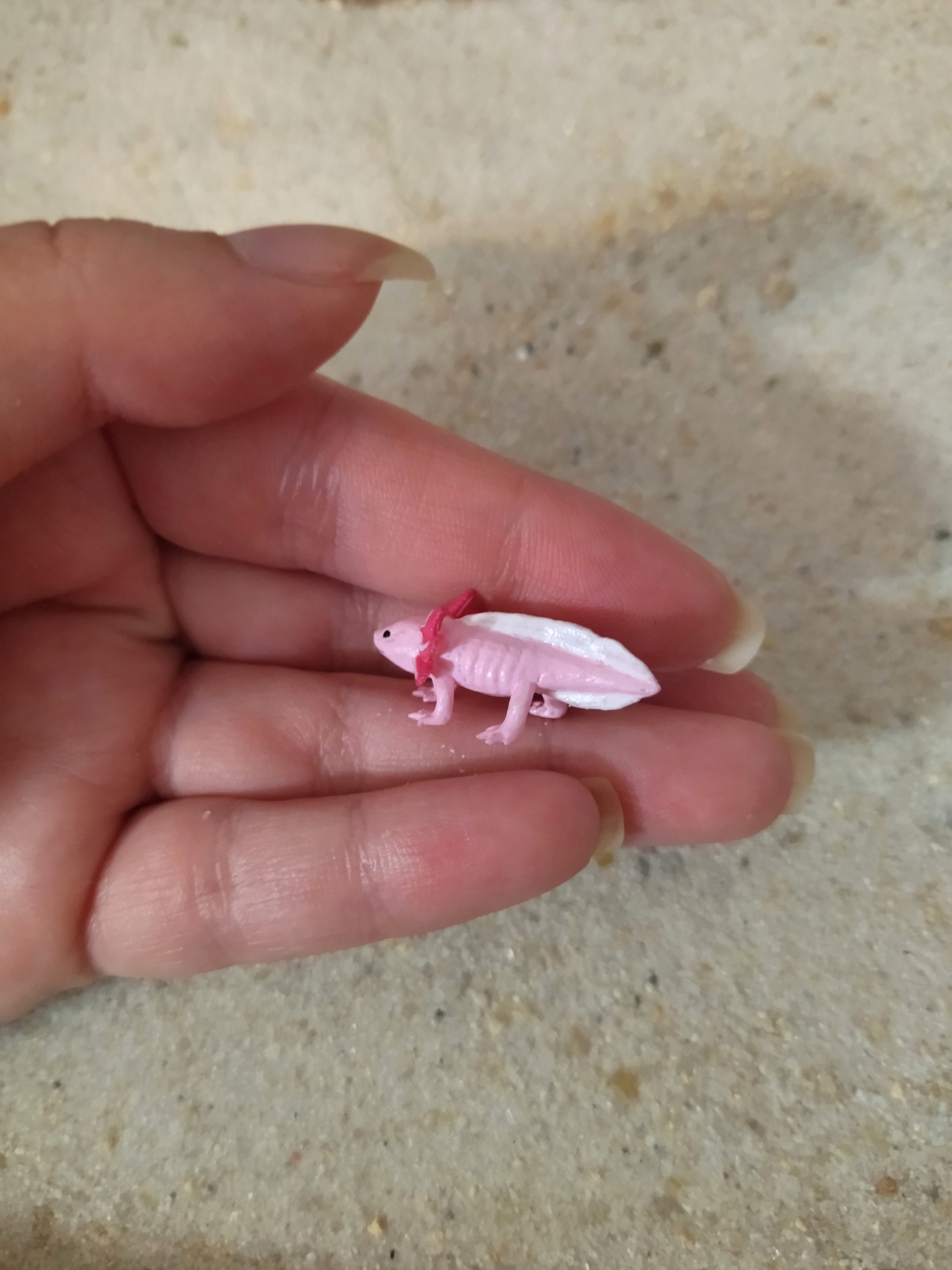 Miniature Axolotl Axolotl Miniatures Fairy Garden - Etsy UK