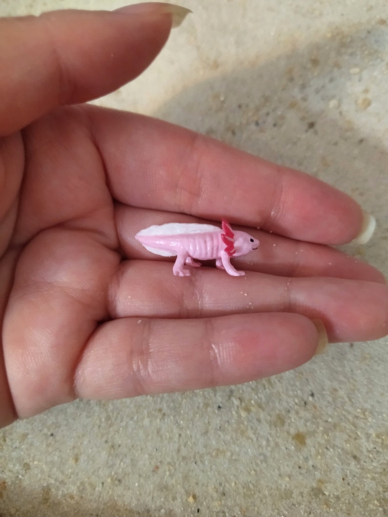 Miniature Axolotl Axolotl Miniatures Fairy Garden - Etsy