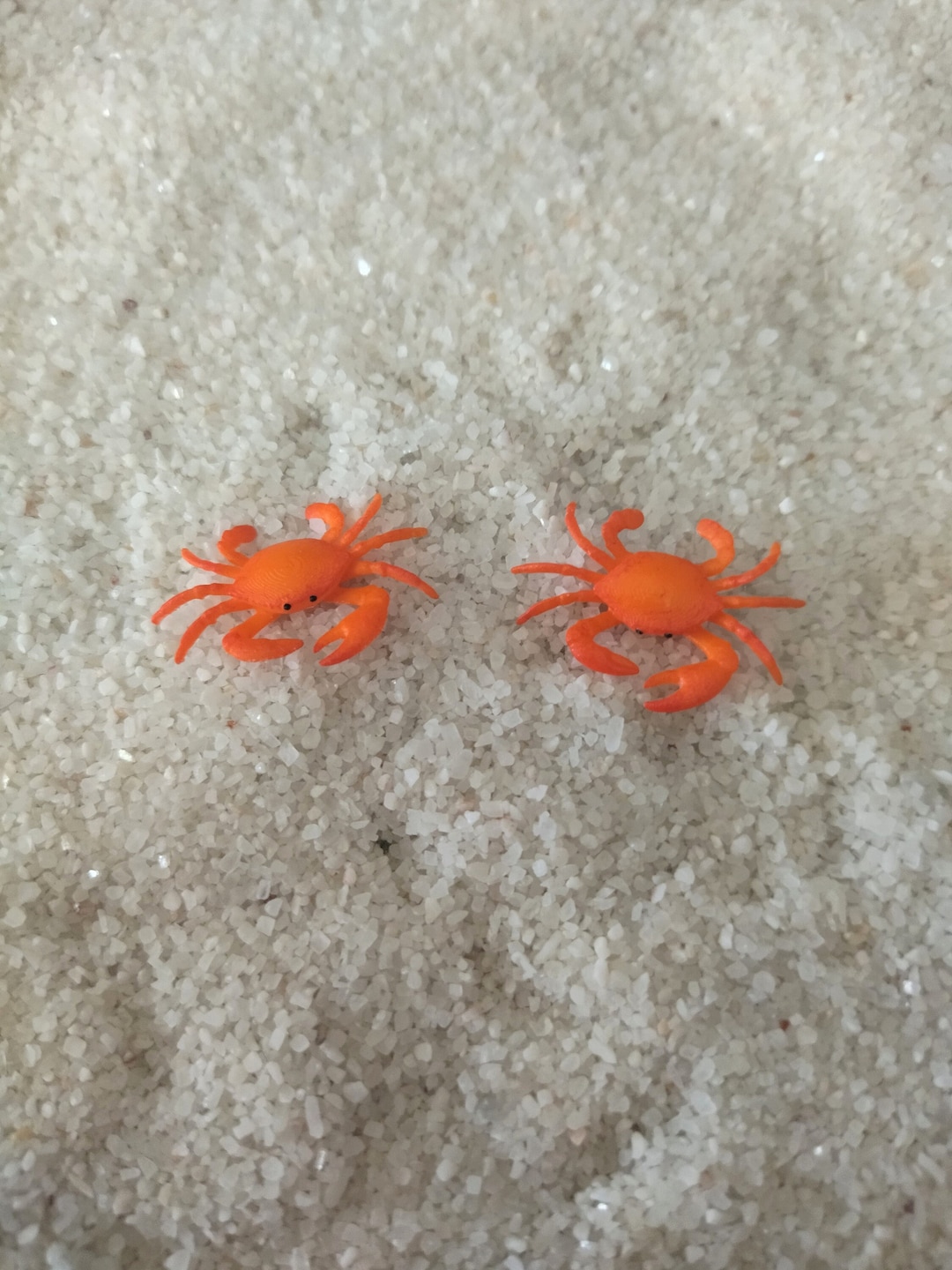 Miniature Crab - Crab - Miniature - Fairy Garden - Fairy Garden Fish ...