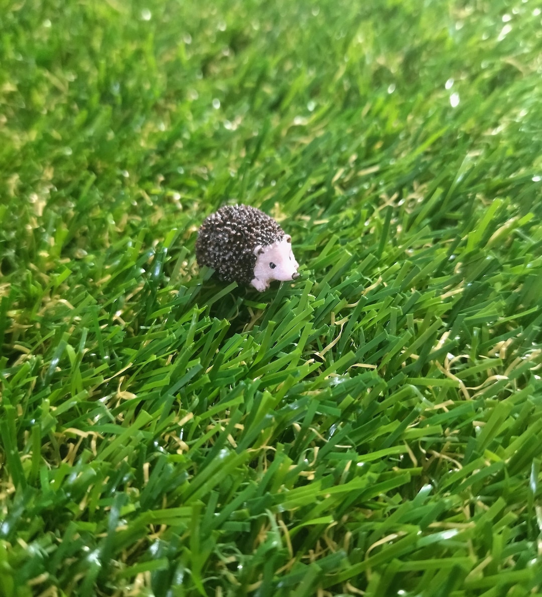Miniature Hedgehog - Hedgehog - Miniature - Fairy Garden - Fairy Garden ...