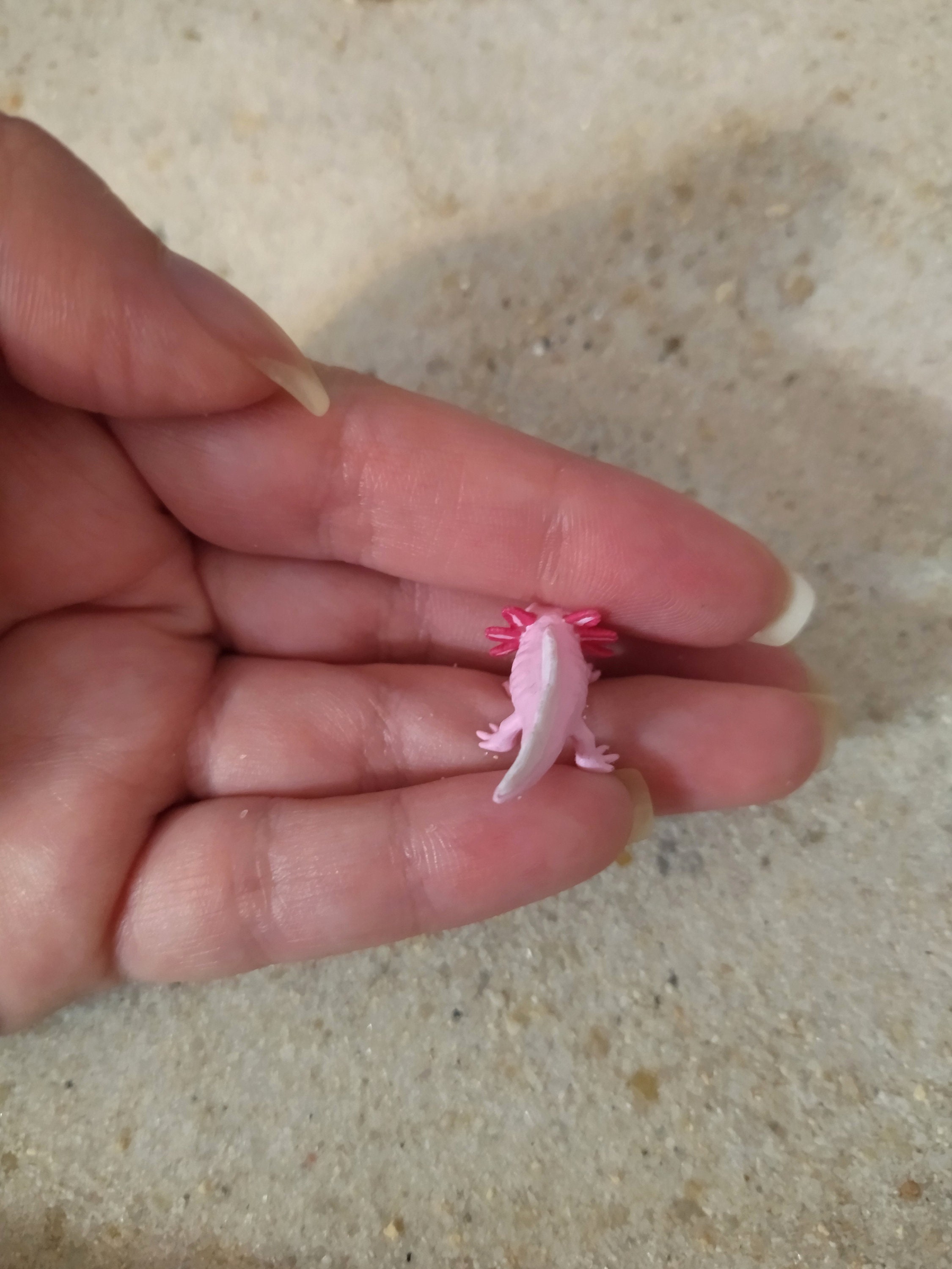 Miniature Axolotl Axolotl Miniatures Fairy Garden - Etsy UK