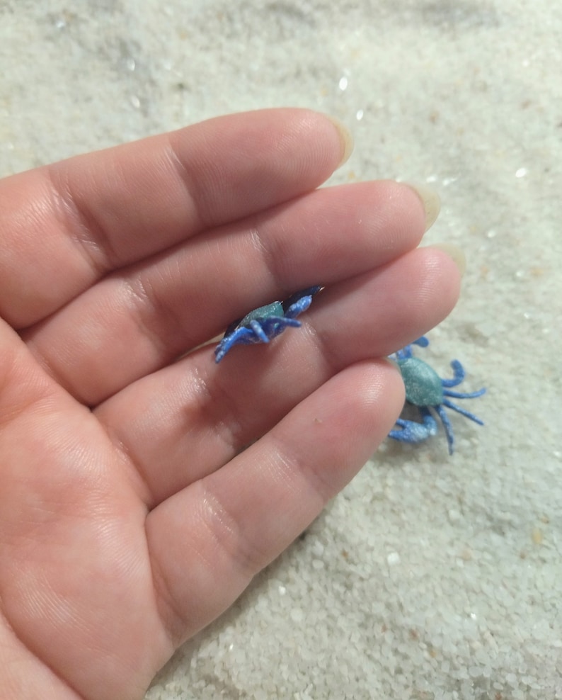 Miniature Crab - Crab - Miniature - Fairy Garden - Fairy Garden Fish ...