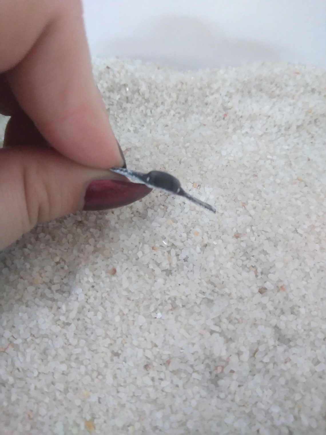 Miniature Manta Ray Miniature Sting Ray Miniature Fish | Etsy