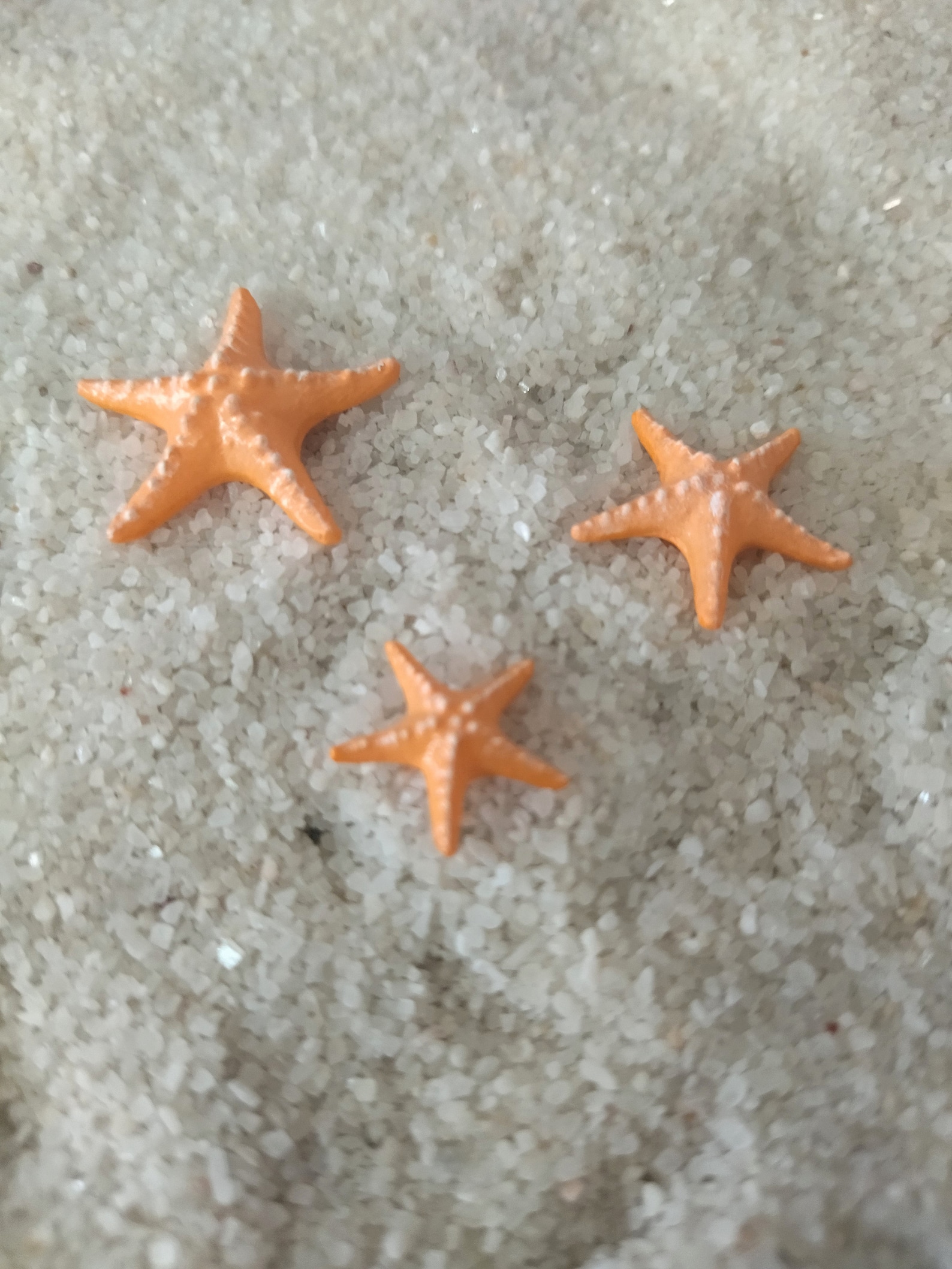 Miniature Starfish - Starfish - Miniatures - Fairy Garden - Resin - Etsy
