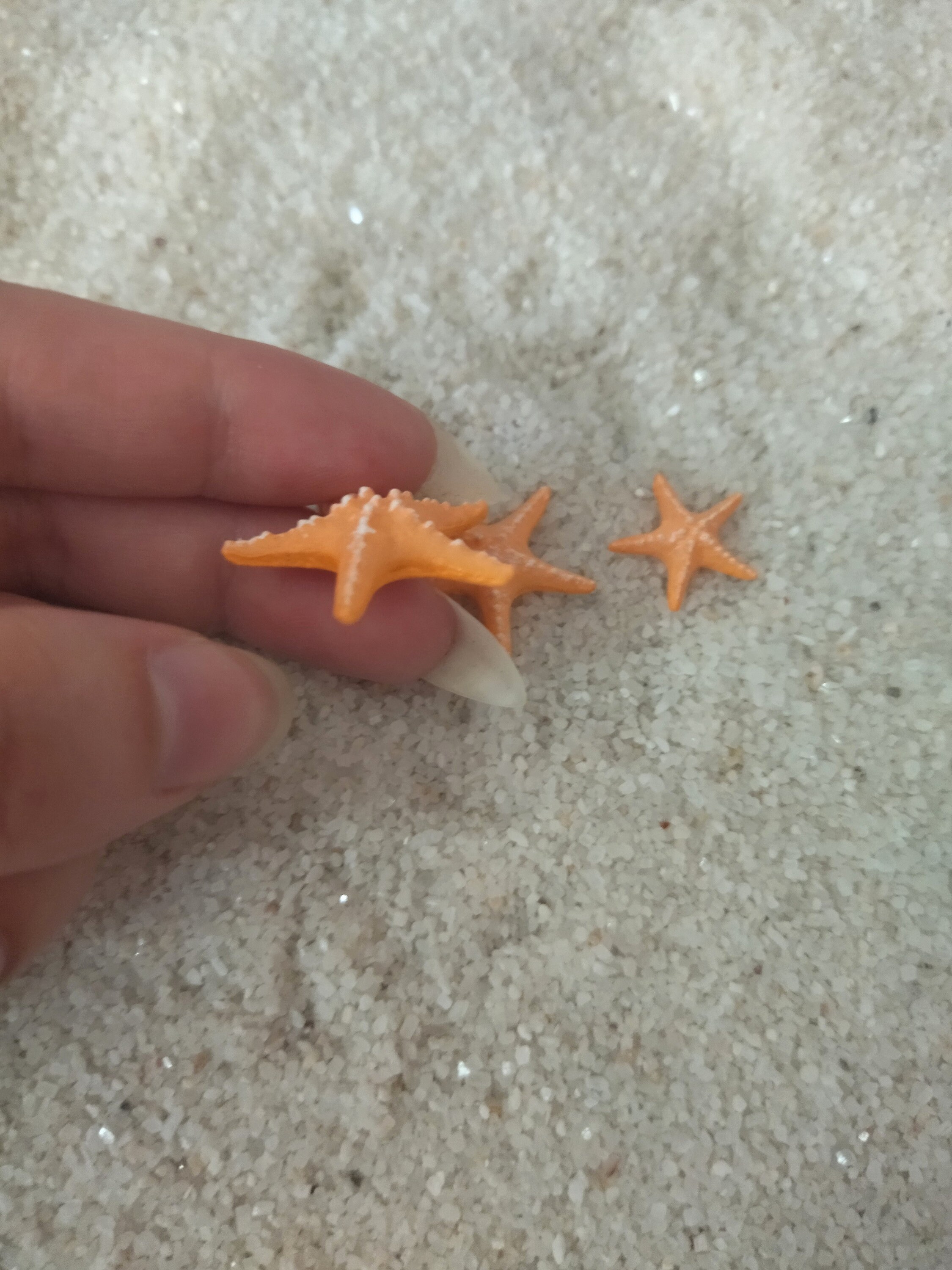 Miniature Starfish - Starfish - Miniatures - Fairy Garden - Resin - Etsy