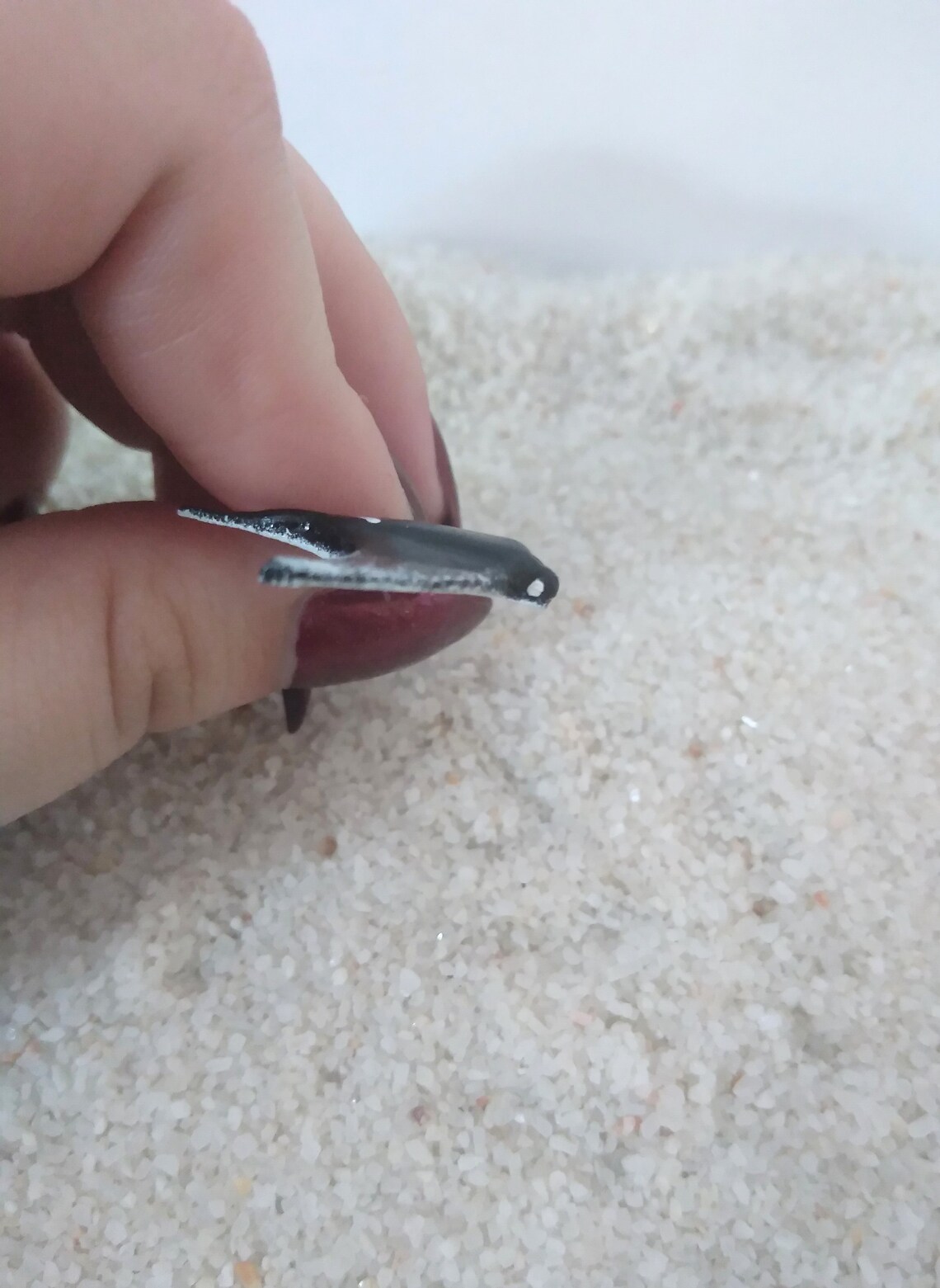 Miniature Manta Ray Miniature Sting Ray Miniature Fish | Etsy