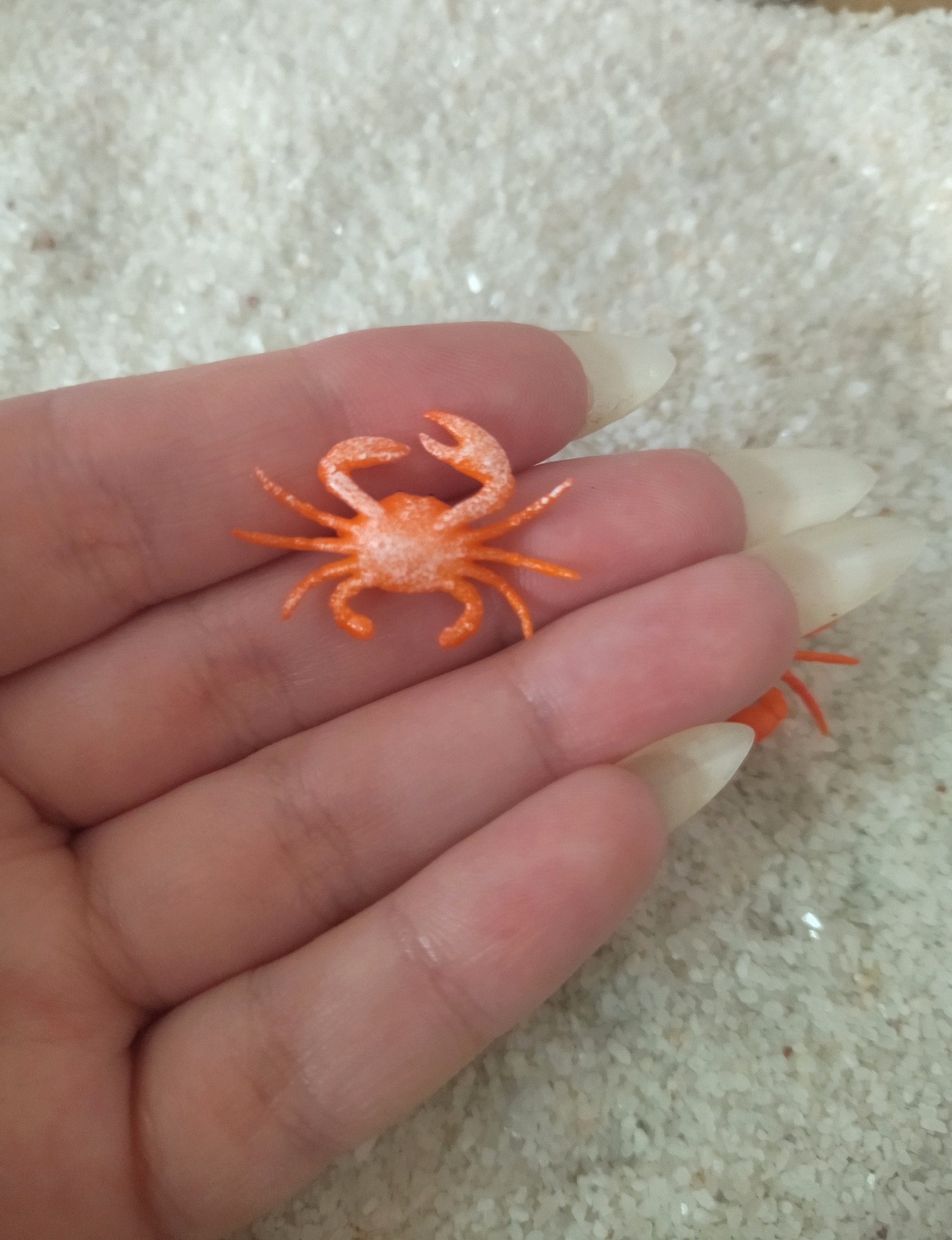 Miniature Crab - Crab - Miniature - Fairy Garden - Fairy Garden Fish ...